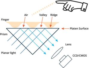 The benefits of fingerprint identification | Argus TrueID