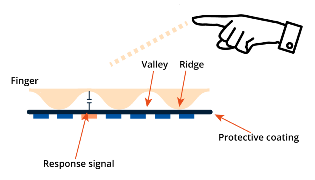 The benefits of fingerprint identification | Argus TrueID